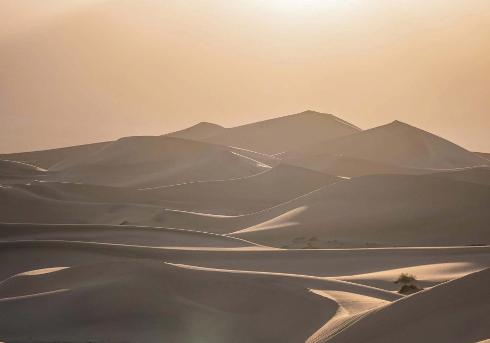 Reconciliation - Musalaha Academy