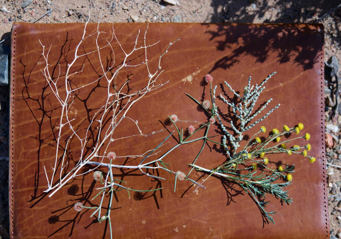 Introduction to reconciliation - Musalaha Academy